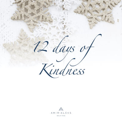 12 Days of Kindness | Christmas Challenge - Amir + Aleks Realty Team