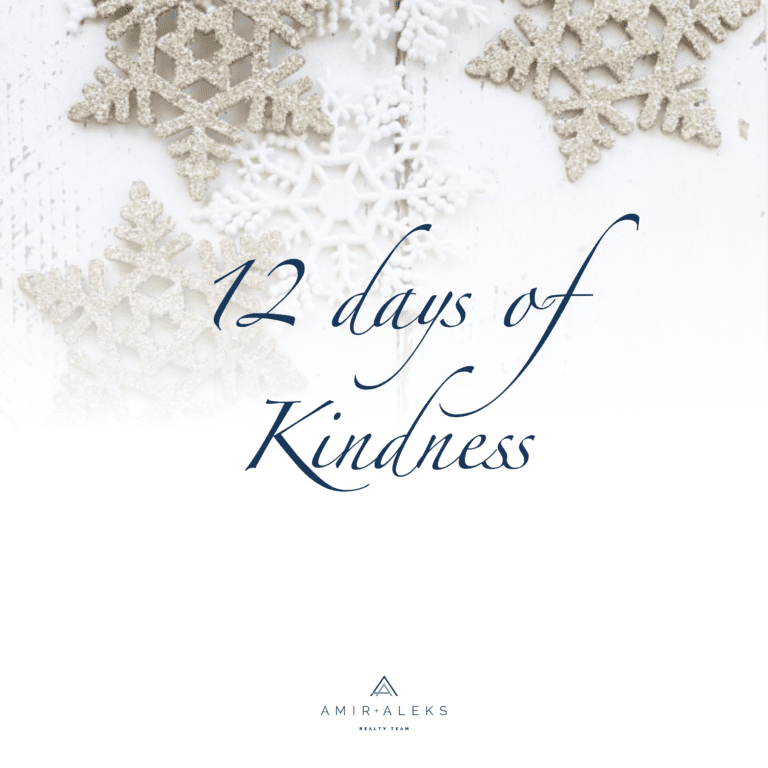 12 Days of Kindness | Christmas Challenge - Amir + Aleks Realty Team