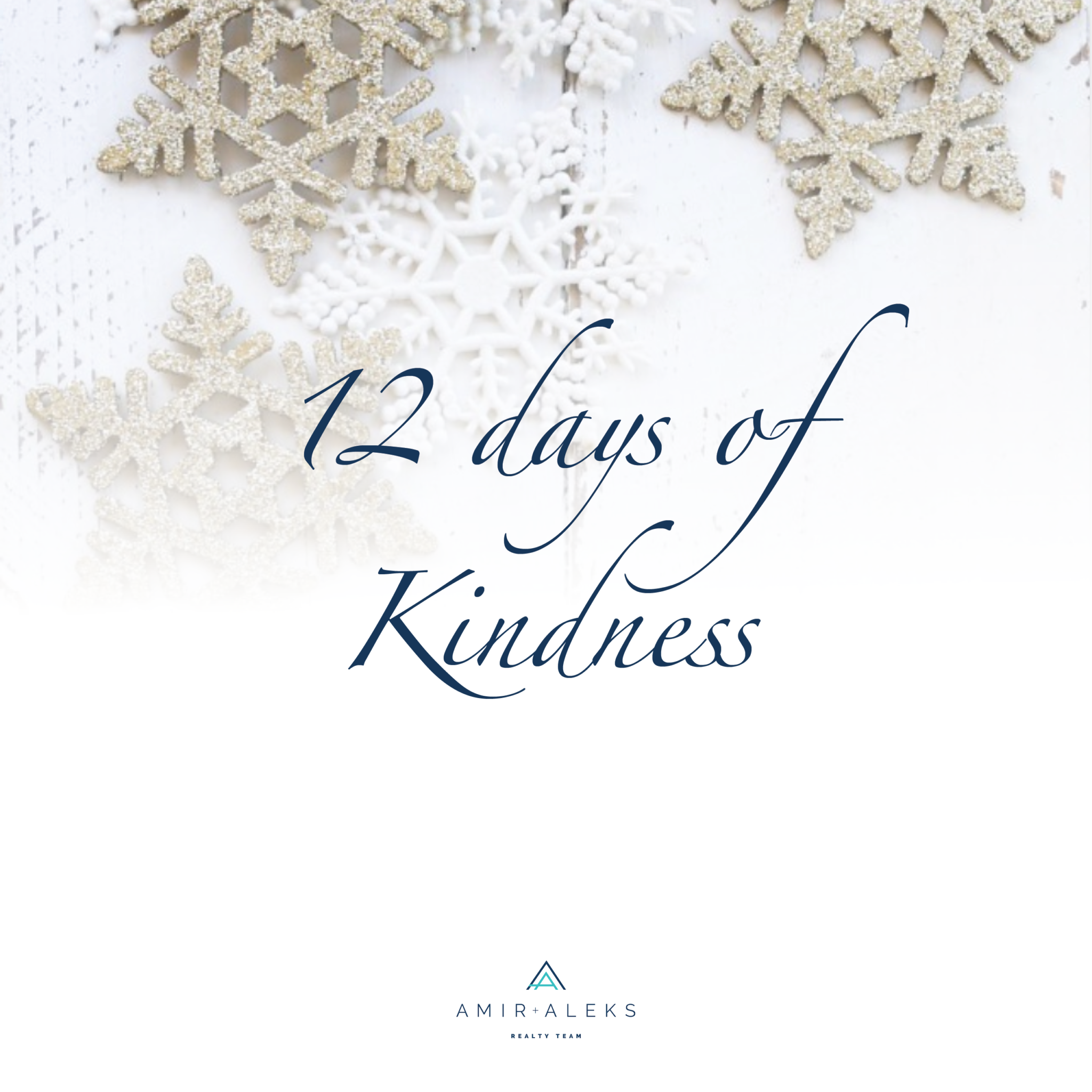 12 Days of Kindness | Christmas Challenge - Amir + Aleks Realty Team