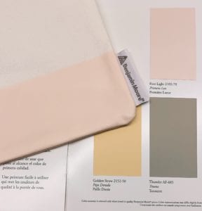 Benjamin Moore | First Light 2102-70 - Amir + Aleks Realty Team